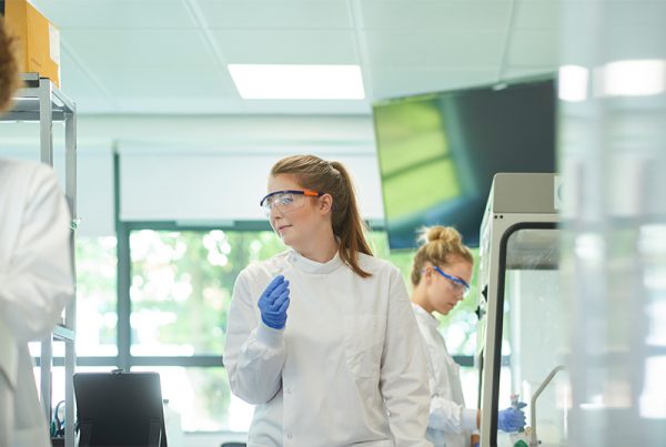 Drug Project Toxicology Toxicology Package Design drug-project-toxicology-toxicology-package-design