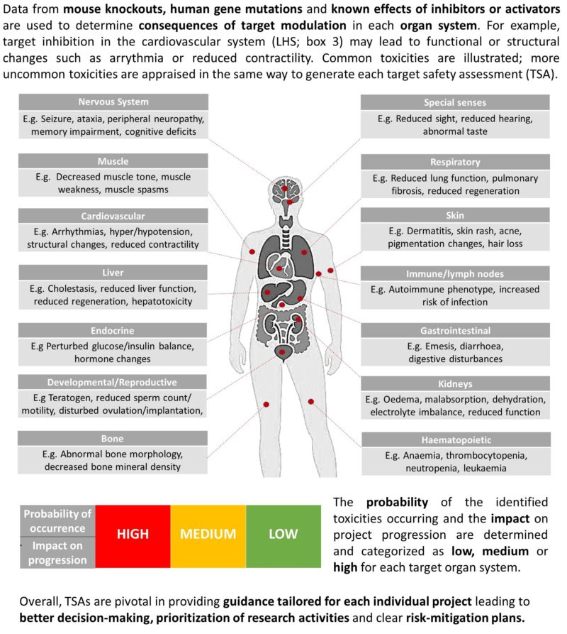 Acuity Target Safety Assessments: Knowledge Is Power | ApconiX