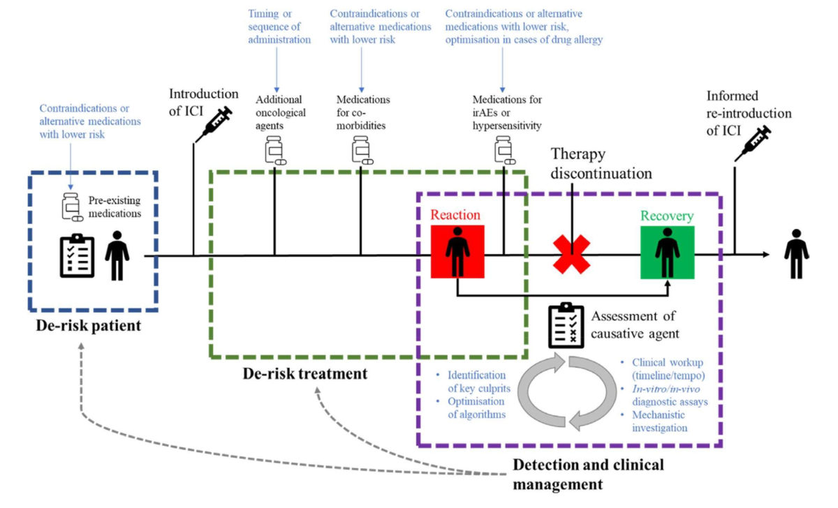 Unravelling Some Mechanistic And Clinical Aspects Of Immunological Drug ...